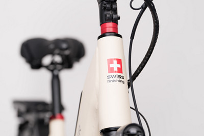 e-Framer Thun E-Bike in weiß kaufen | ochsnersport.ch