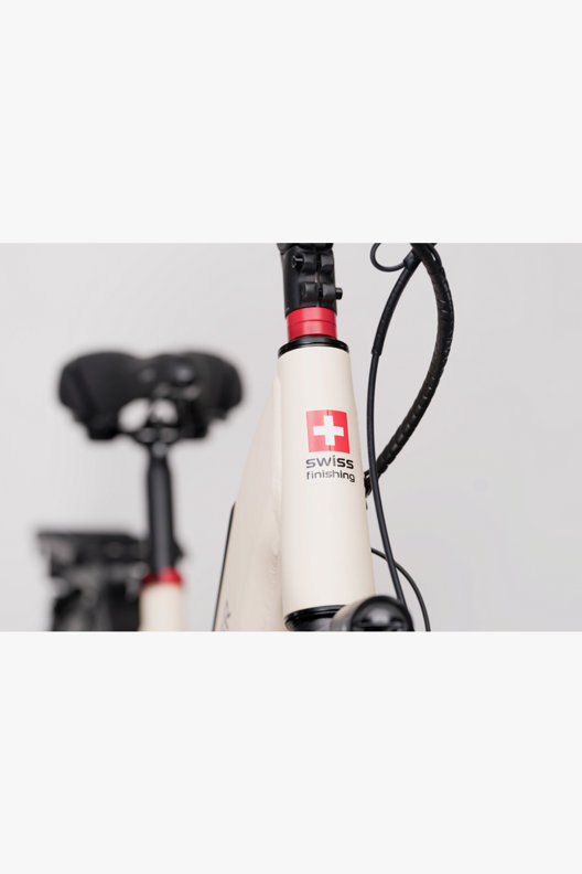 e-Framer Thun E-Bike in weiß kaufen | ochsnersport.ch