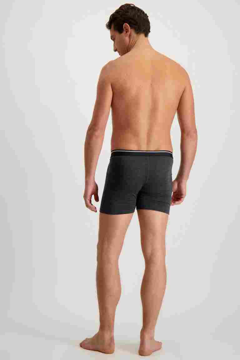Icebreaker Merino 150 Anatomica Herren Boxershort In Anthrazit Kaufen
